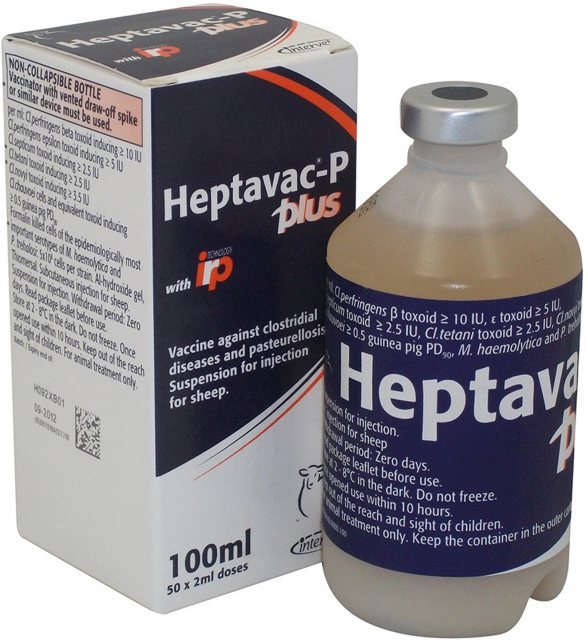 MSD Heptavac P Plus - Vaccines & Injections