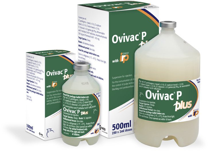 MSD Ovivac P Plus - Vaccines & Injections