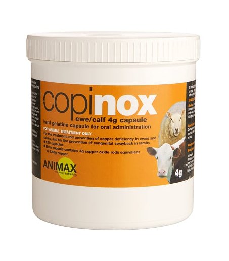 Copinox For Ewes & Calves 250 Pack - Sheep Supplements