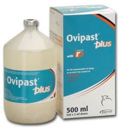 Ovipast Plus - Vaccines & Injections