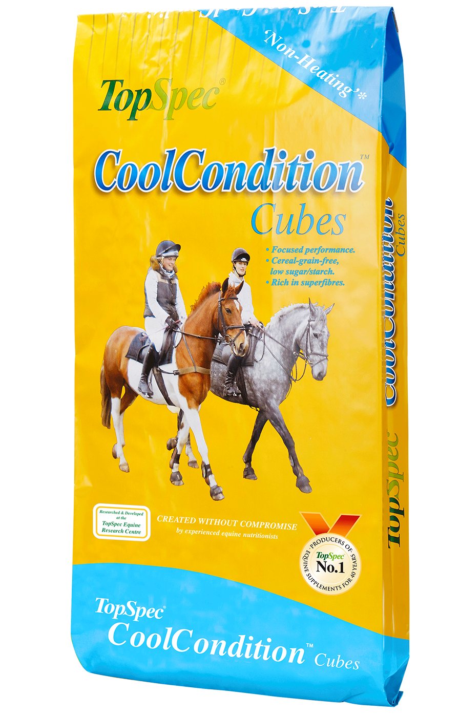 TOPSPEC Topspec Cool Condition Cubes 20kg - Cubes, Mixes & Mash