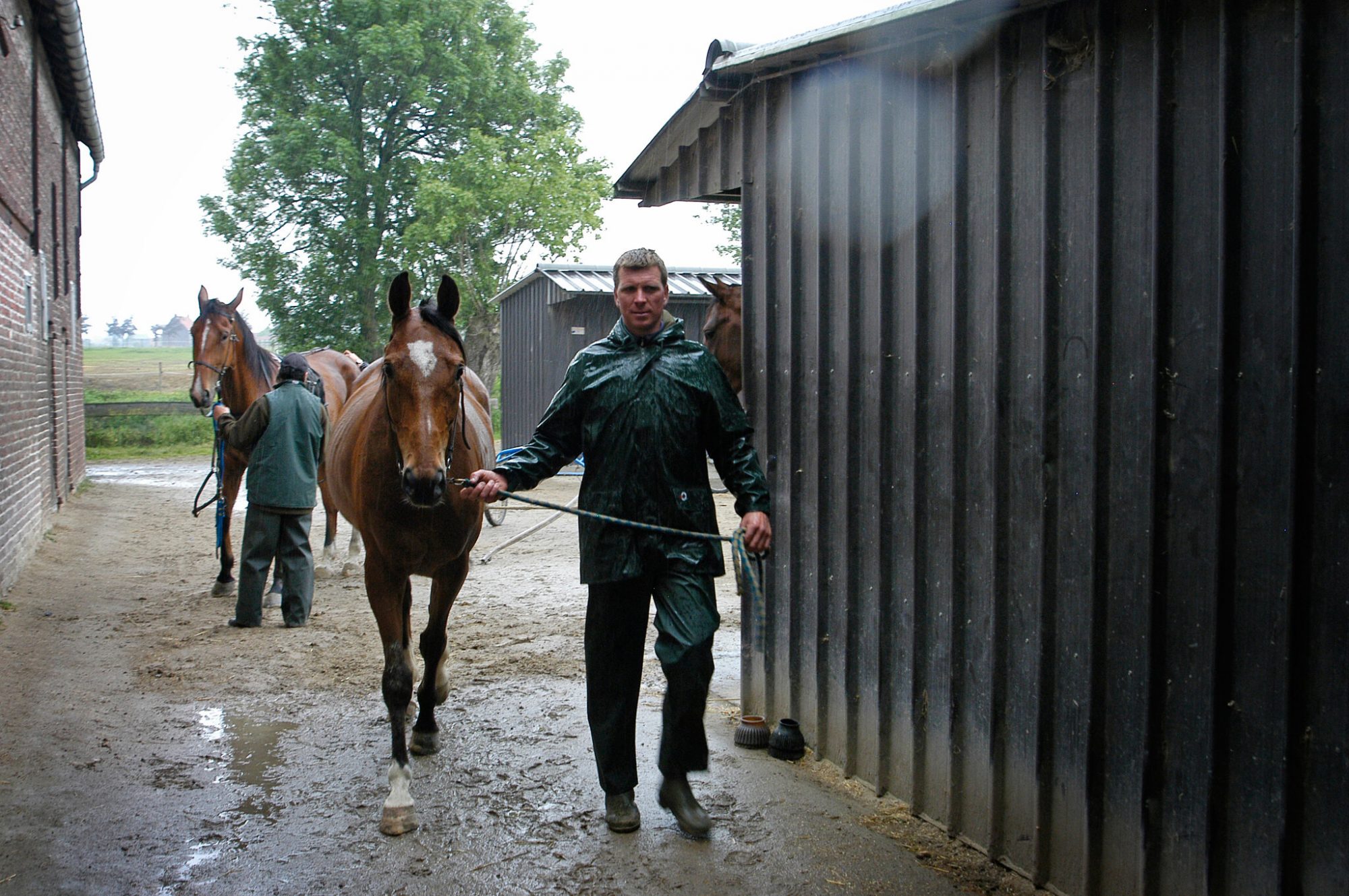 Flexothane Dortmund Jacket Green - Jackets