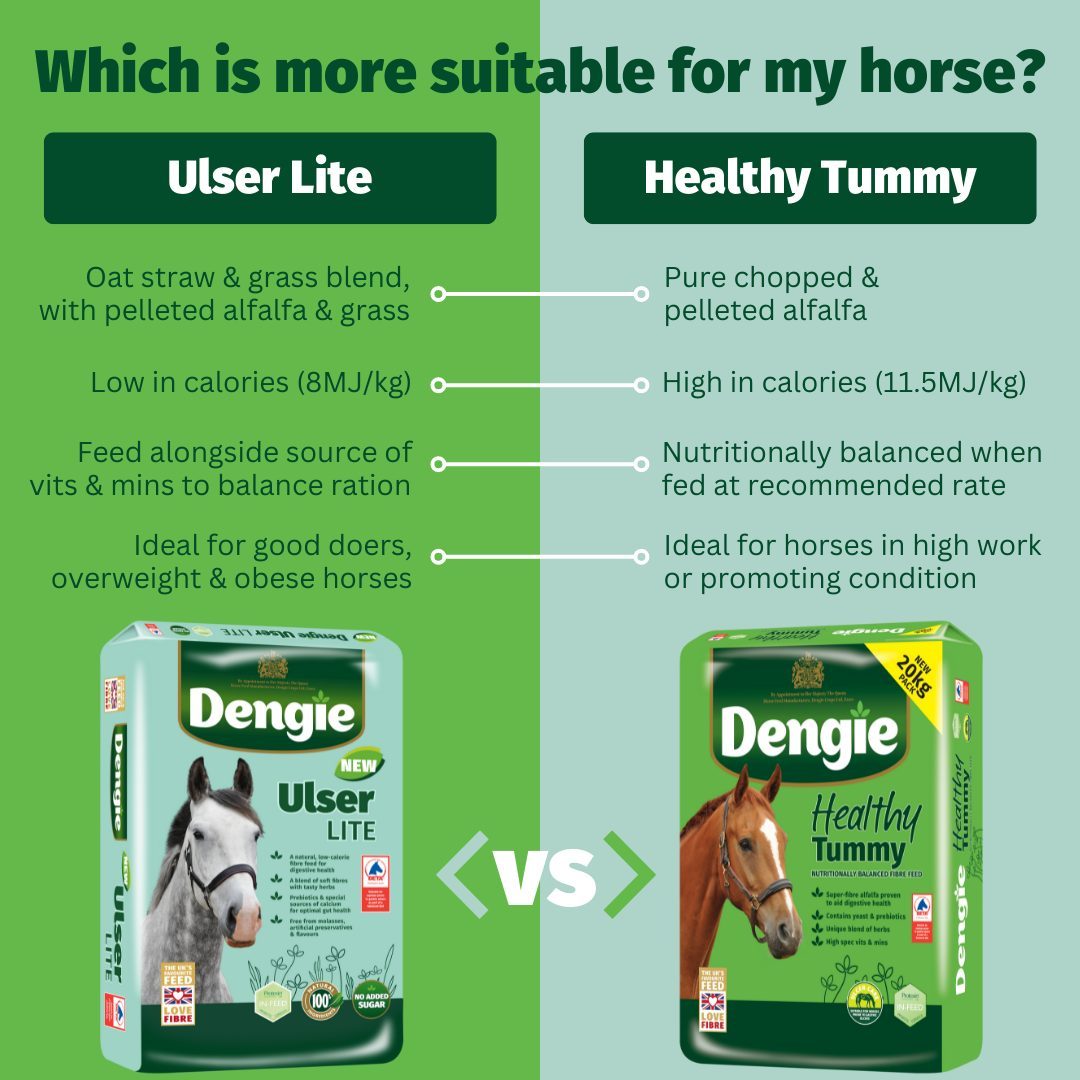 Dengie Healthy Tummy 20kg - Chaffs & Fibre Feeds