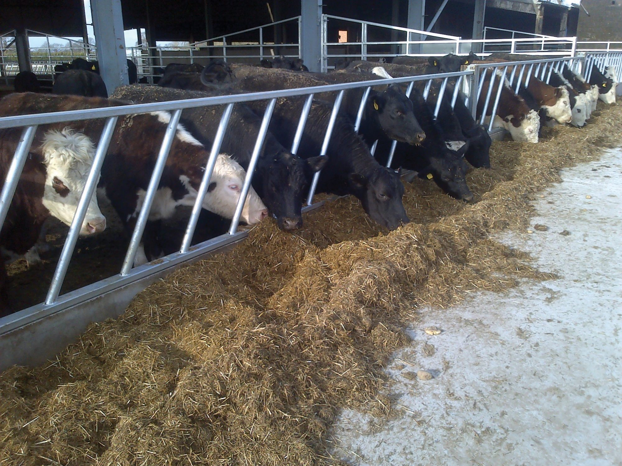 IAE Feed Barrier No Base Flat Bracket 14'6" - Livestock Feeders