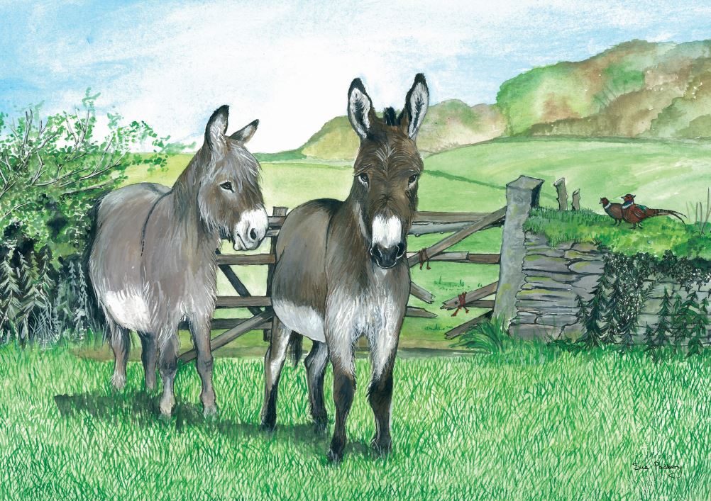 Two Donkeys Greetings Card - Animals