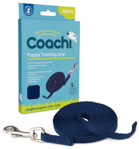 Coachi Puppy Training Line Navy - Dog Agility & Training