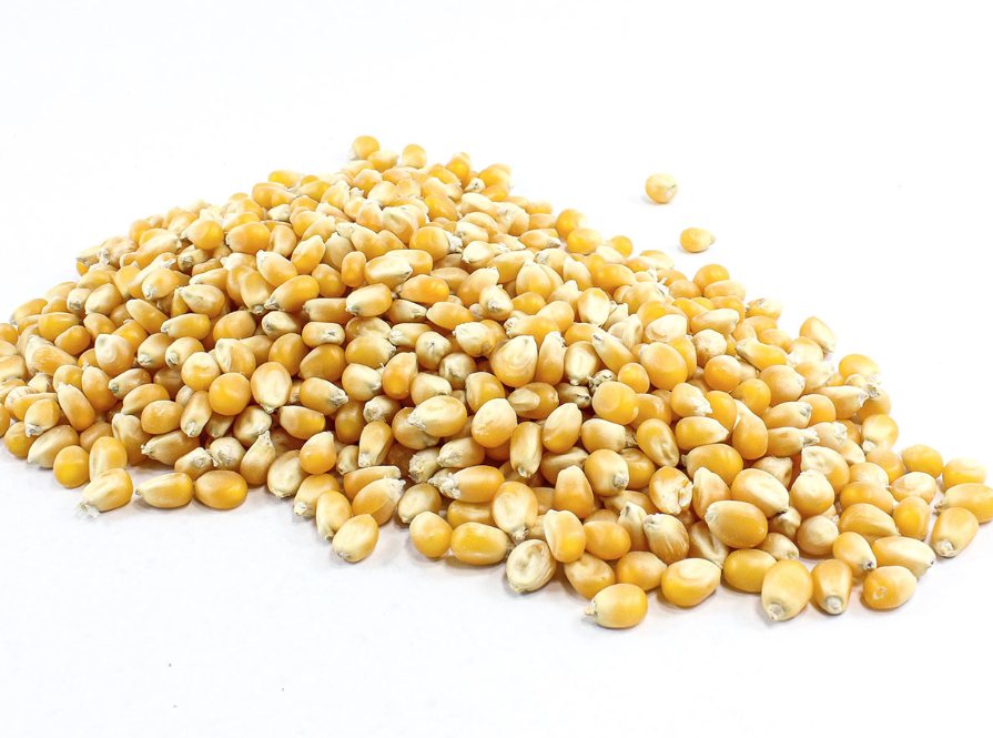 Queenswood Loose Popping Corn 1kg - Nuts & Seeds