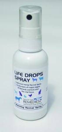 Life Drops Spray 3 x 30ml - Disinfectants & Sanitisers