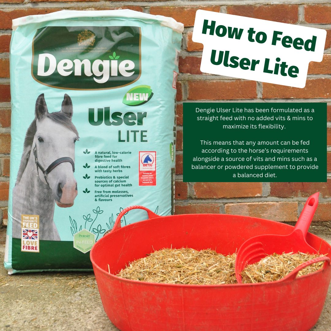 Dengie Ulser Lite 20kg - Chaffs & Fibre Feeds