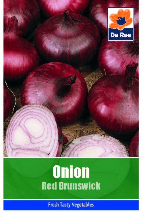 De Ree Onion Brunswick Seeds - Leeks & Onions