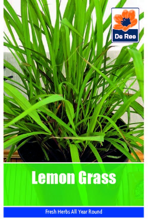De Ree Lemon Grass Seeds - Herbs