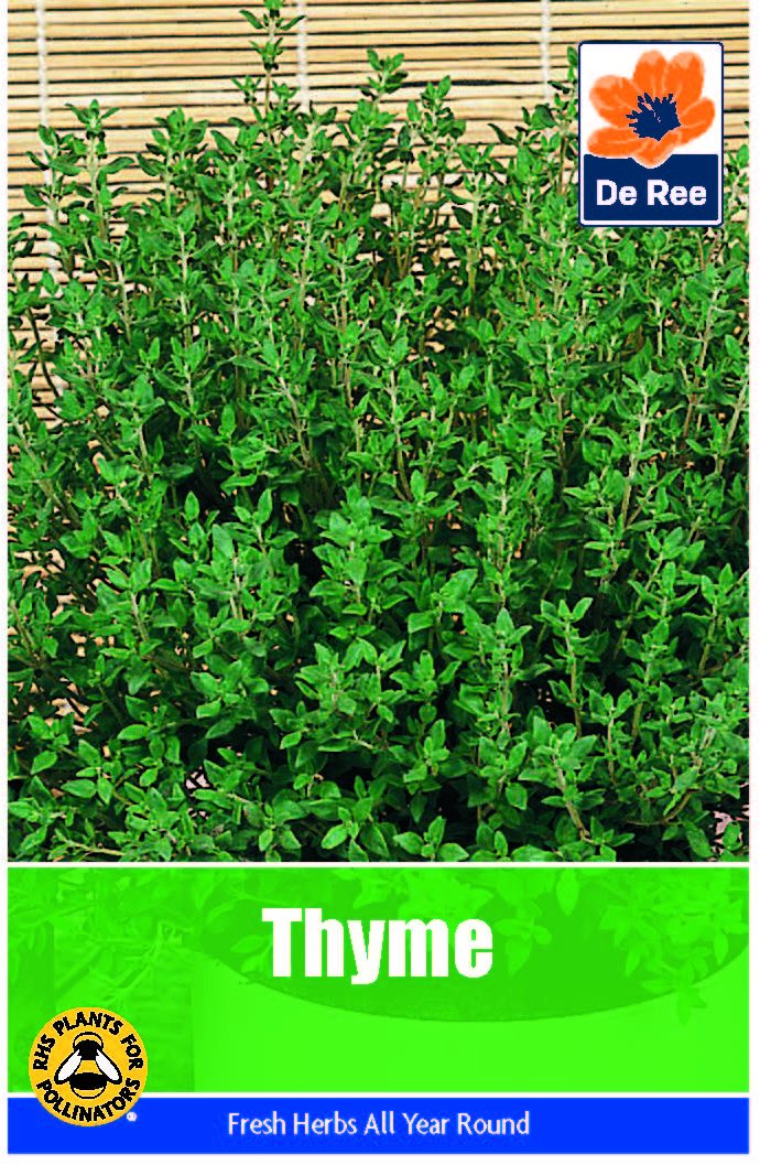 De Ree Thyme Seeds - Herbs