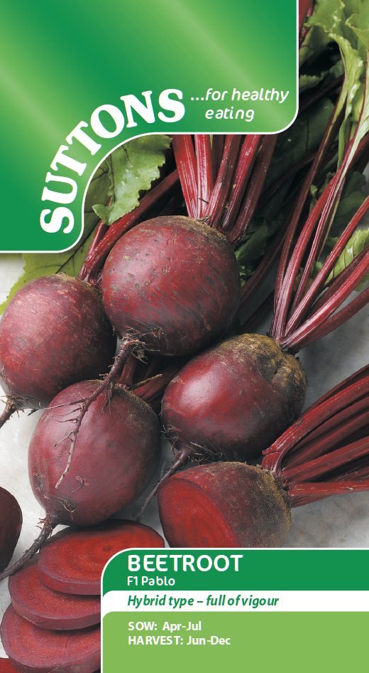 SUTTONS Suttons Beetroot Pablo F1 Seeds - Root Vegetables