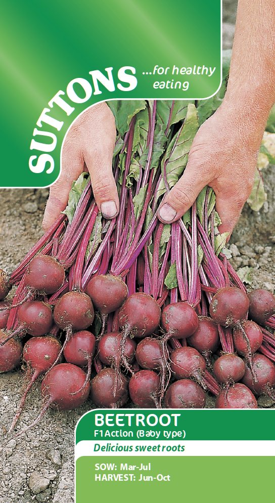 SUTTONS Beetroot F1 Action Seeds - Root Vegetables