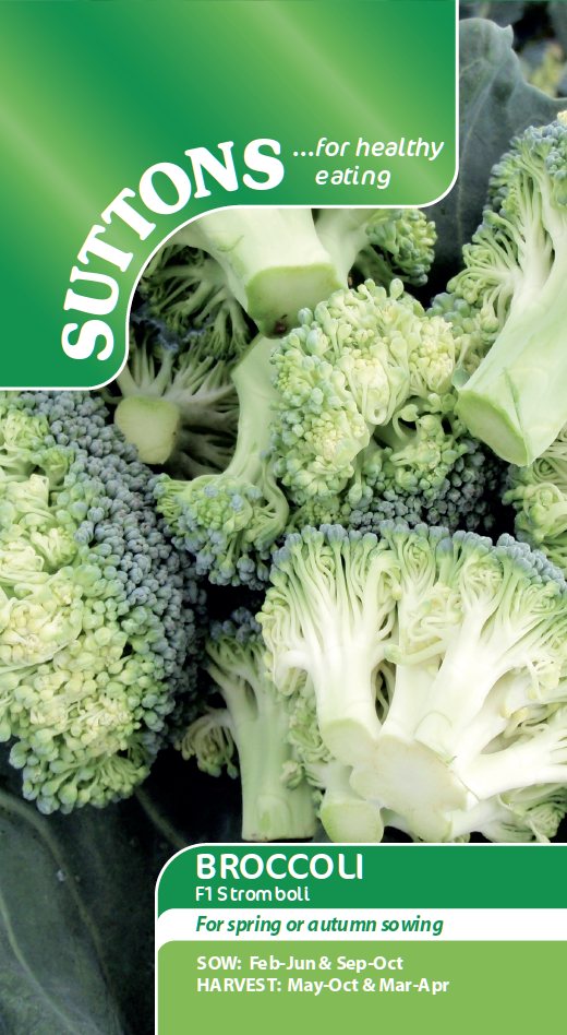 SUTTONS Broccoli F1 Stromboli Seeds - Leafy Greens