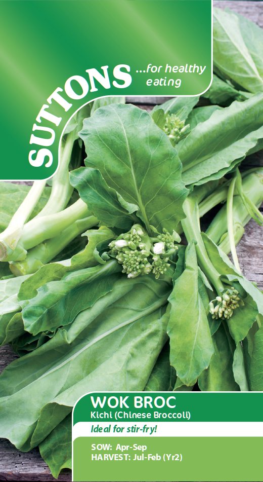 SUTTONS Wok Broc Chinese Broccoli Kichi Seeds - Leafy Greens - Mole Avon