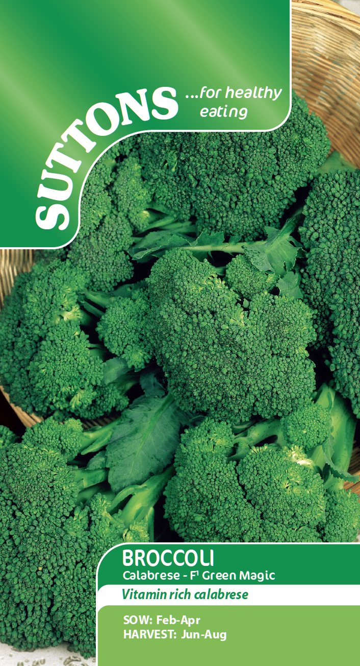 SUTTONS Suttons Broccoli Calabrese Green Magic F1 Seeds - Leafy Greens