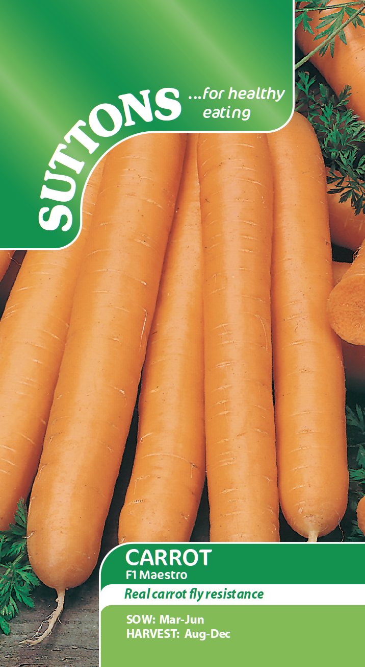 SUTTONS Carrot F1 Maestro Seeds - Root Vegetables