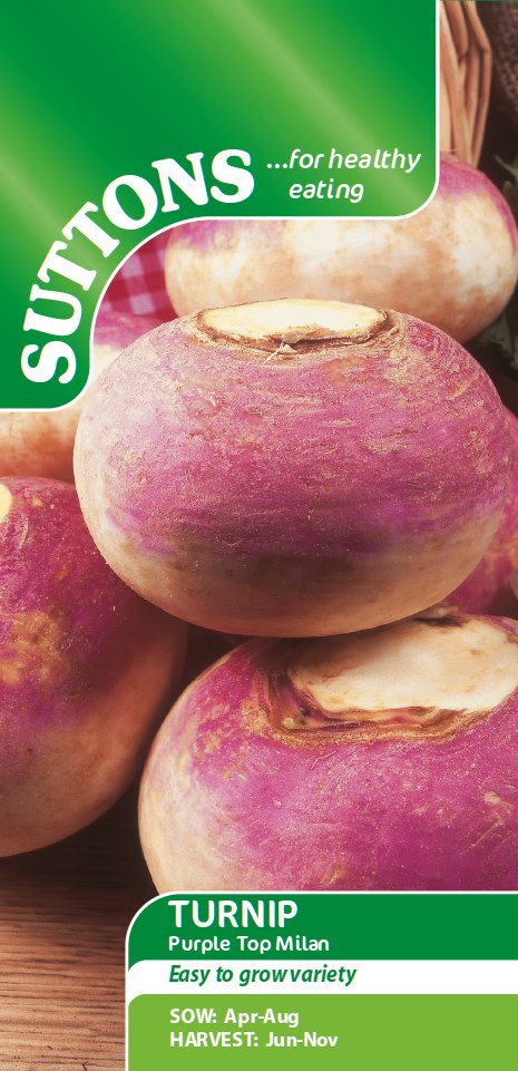 SUTTONS Turnip Purple Top Milan Seeds - Root Vegetables