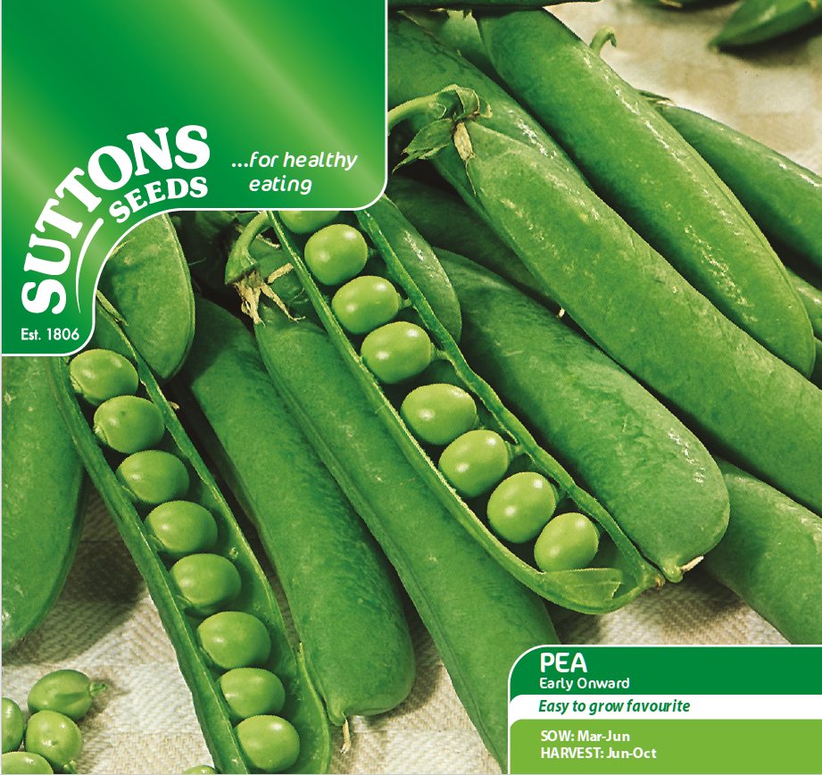 SUTTONS Pea Early Onward Seeds - Beans & Peas