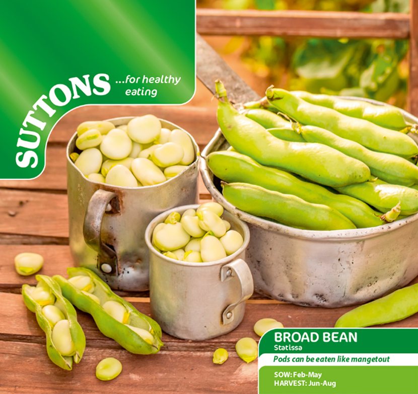 SUTTONS Broad Bean Statissa Seeds - Beans & Peas