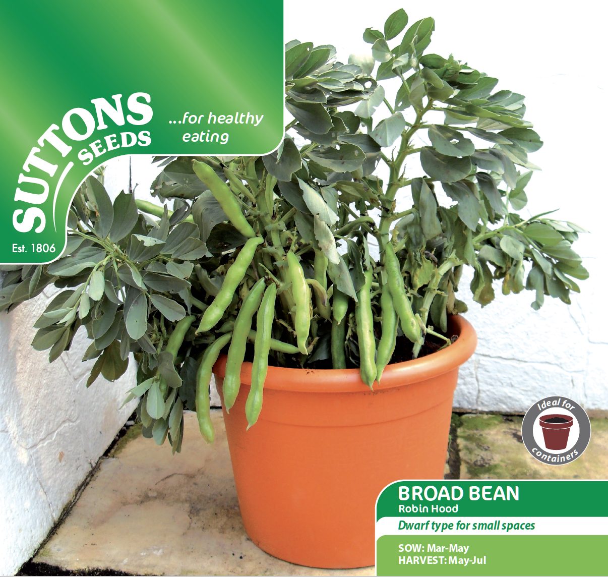 SUTTONS Broad Bean Robin Hood Seeds - Beans & Peas