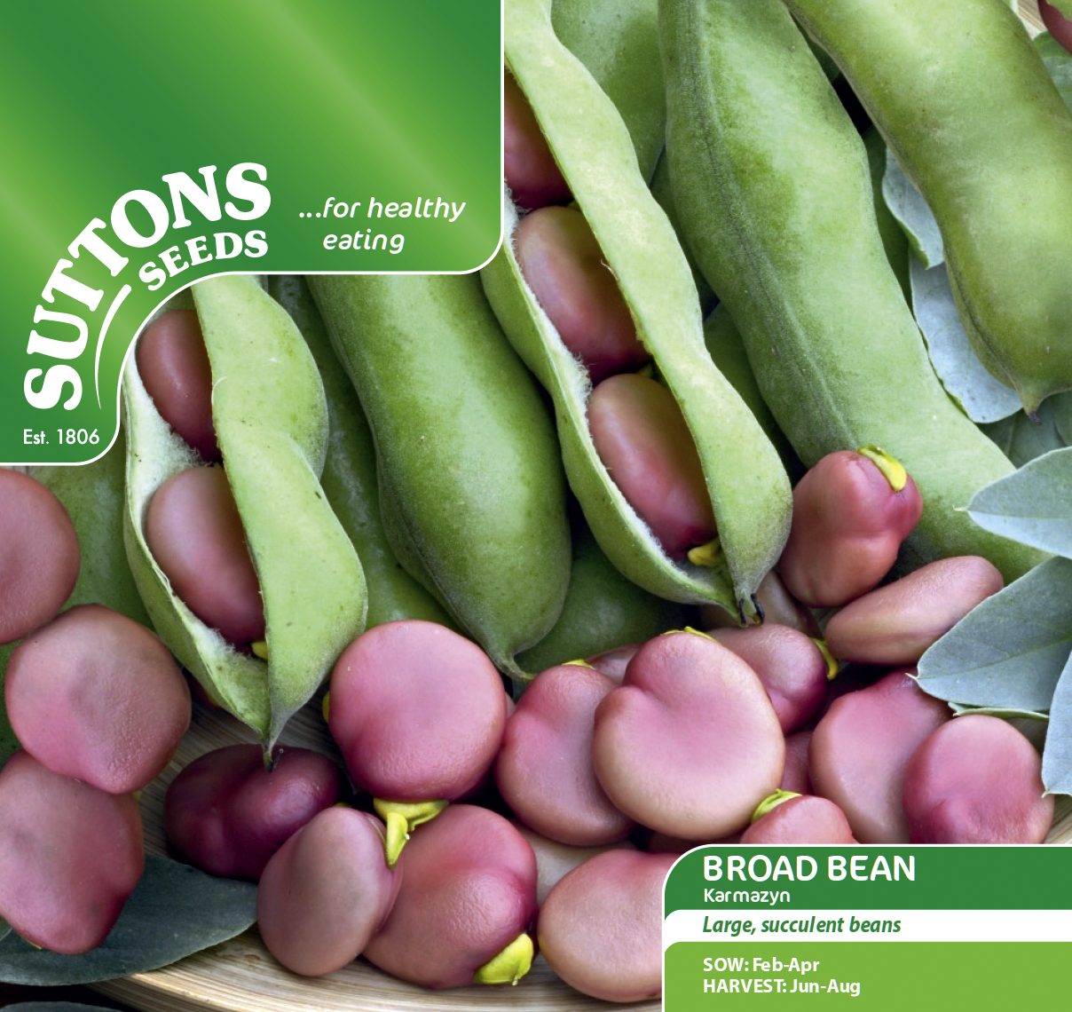 SUTTONS Bean Broad Karmazyn Seeds - Beans & Peas