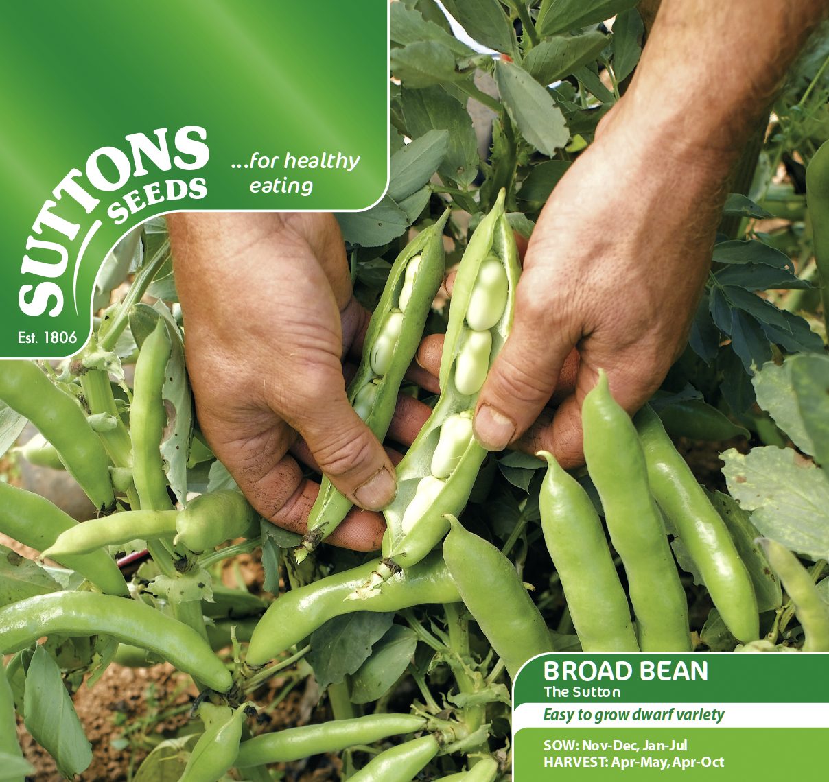 SUTTONS Broad Bean Sutton Dwarf Seeds - Beans & Peas