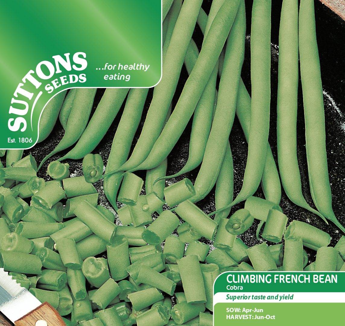 SUTTONS Climbing French Bean Cobra Seeds - Beans & Peas