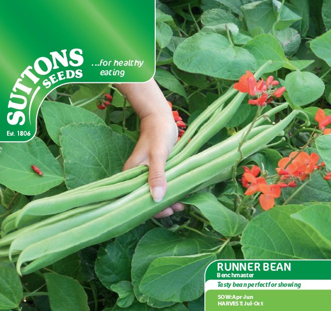 SUTTONS Runner Bean Benchmaster Seeds - Beans & Peas