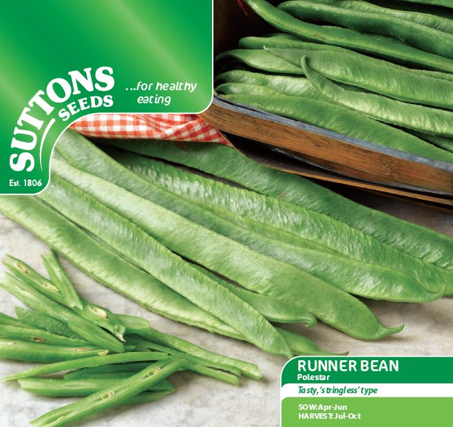 SUTTONS Runner Bean Polestar Seeds - Beans & Peas