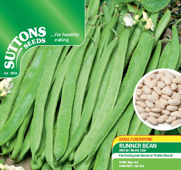 SUTTONS Runner Bean Butter Bean Czar Seeds - Beans & Peas