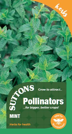 SUTTONS P & P Mint Seeds - Suttons Seeds & Bulbs - Mole Avon