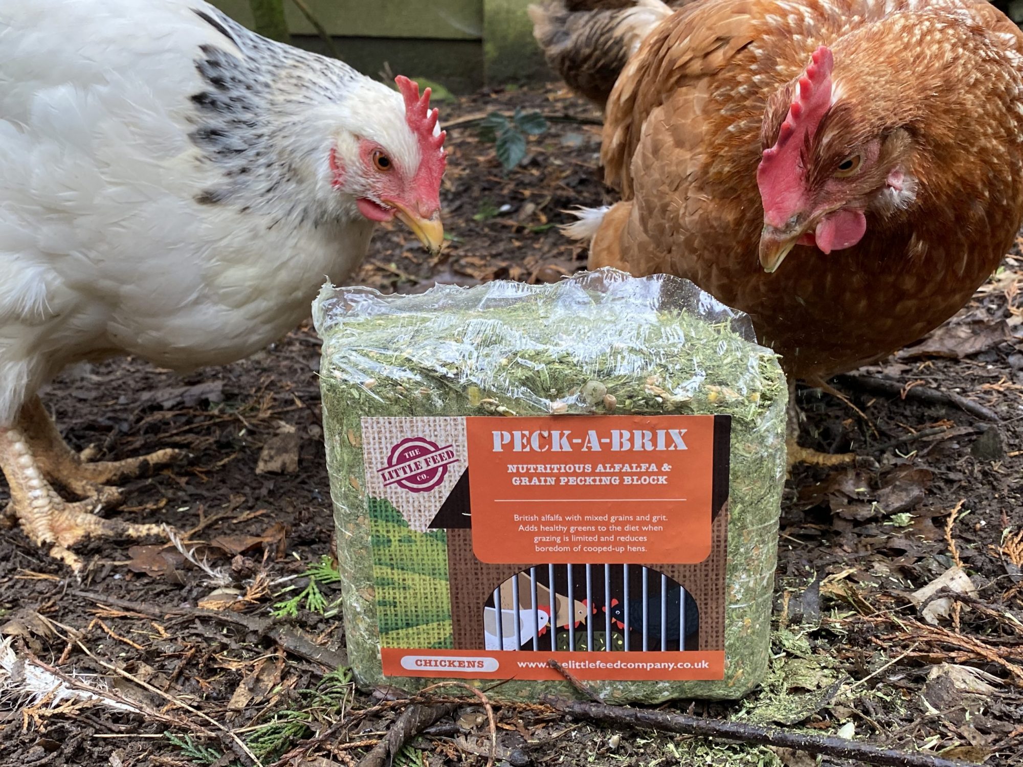 Little Feed Co Peck-A-Brix Block 1.25kg - Supplements & Treats - Mole Avon