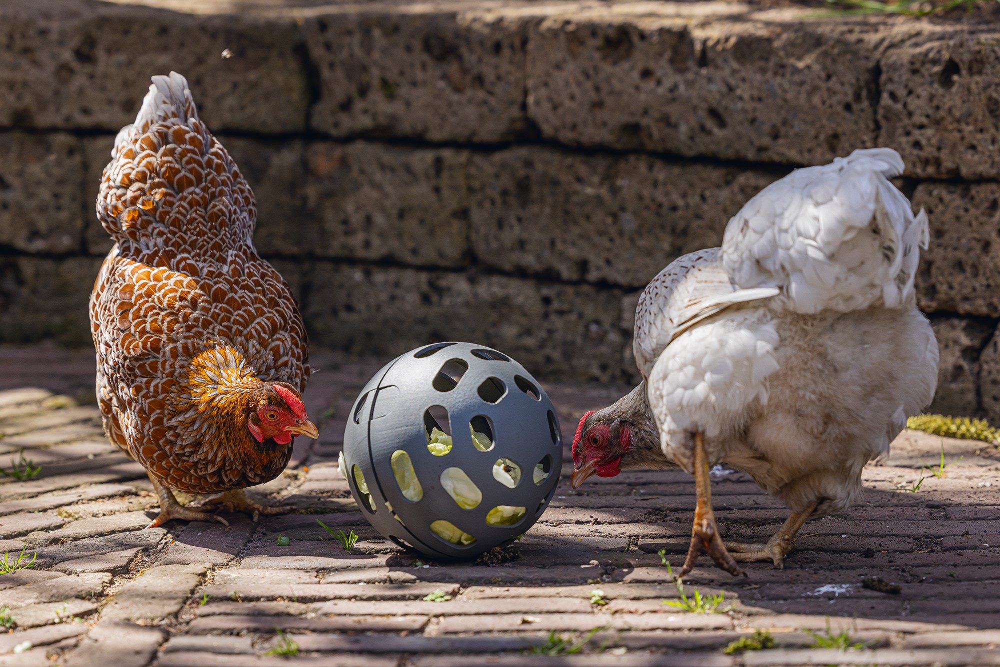 Beeztees Poultry Snackball Grey - Poultry Feeders & Drinkers