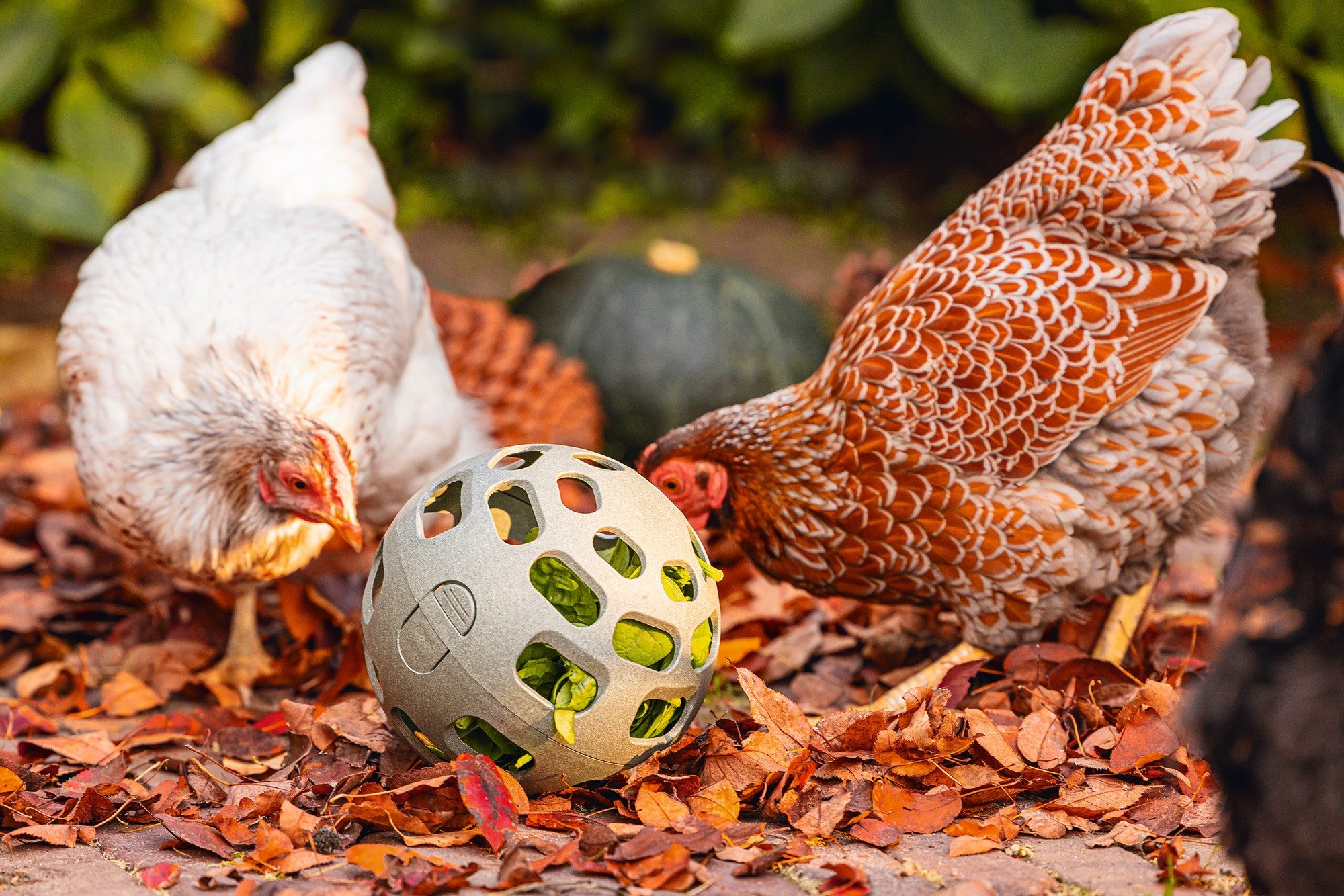 Beeztees Poultry Snackball Grey - Poultry Feeders & Drinkers