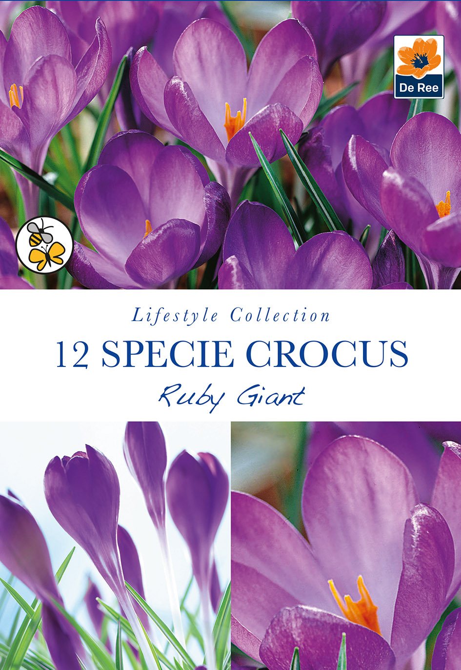 De Rees Species Crocus Ruby Giant Bulbs - Autumn/Winter Flowers