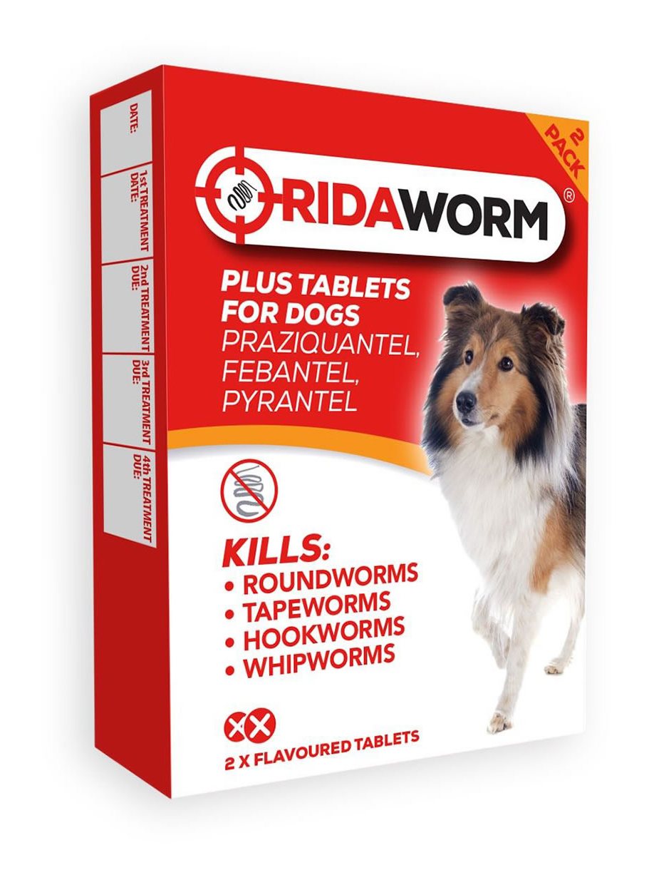 Chanelle Ridaworm Dog Tablets - Flea, Tick & Worm Treatments