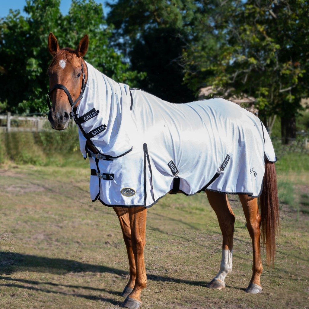 Gallop Equestrian Gallop Classic Fly Combo Rug White - Horse Rugs