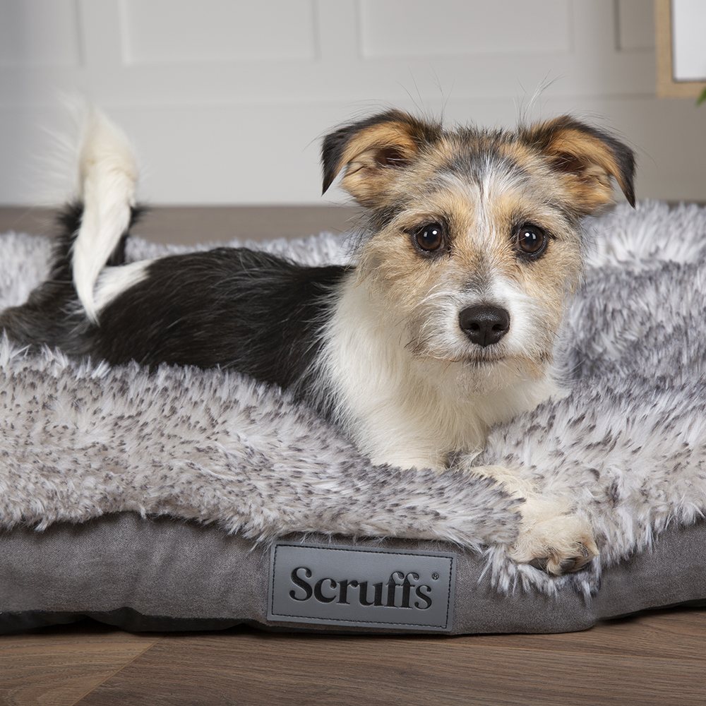 Scruffs Slumber Mattress 82 x 58cm Assorted - Mattresses