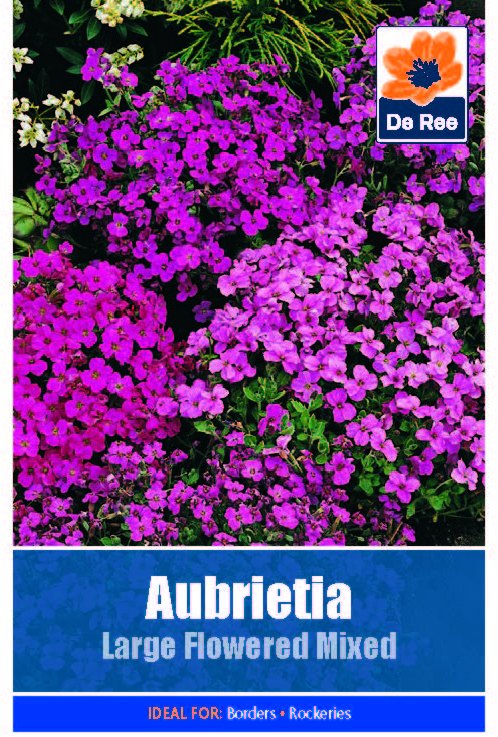 De Ree Aubretia Large Flower Seed - Spring/Summer Flowers
