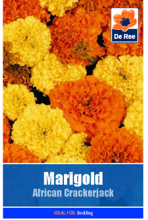 DE REE Marigold African Crackerjack Seed - De Ree Seeds - Mole Avon