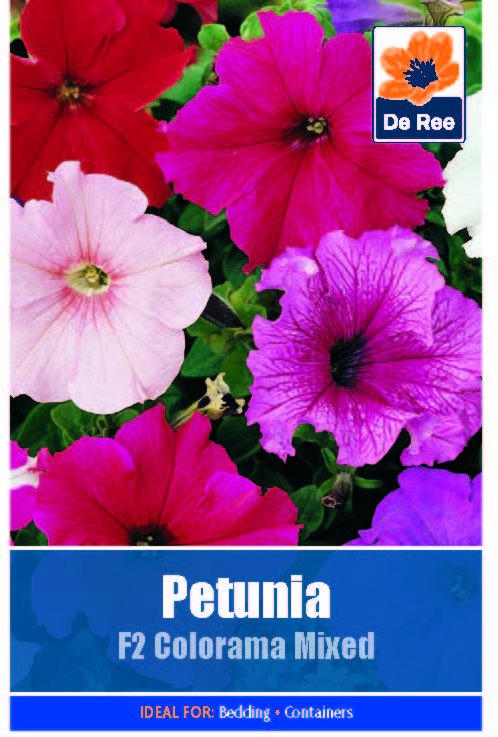 De Ree Petunia F2 Colorama Mixed Seed - Spring/Summer Flowers