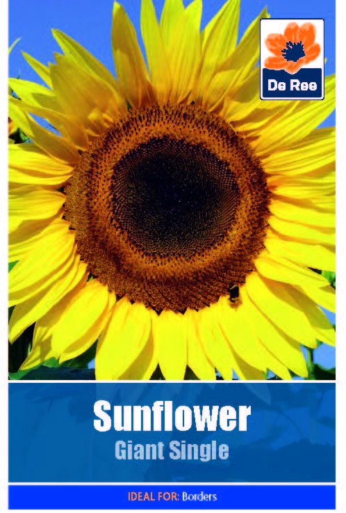 De Ree Sunflower Giant Single Seed - Spring/Summer Flowers