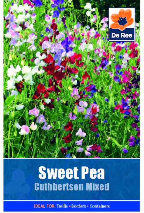 De Ree Sweet Pea Cuthbertson Mixed Seed - Spring/Summer Flowers