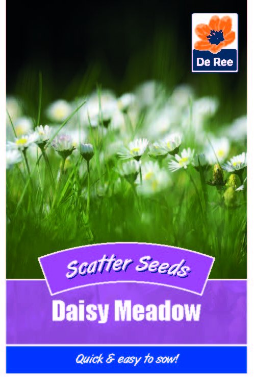De Ree Daisy Meadow White Seed - Spring/Summer Flowers