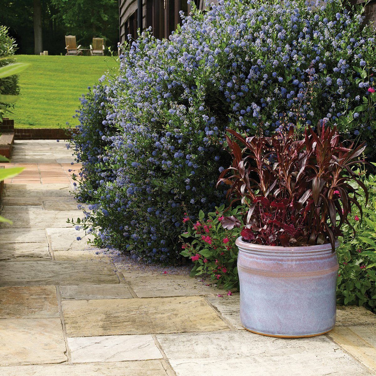 Apta Balmoral Cyclinder Pot - Decorative Planters