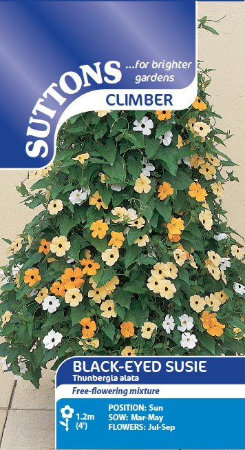 SUTTONS Suttons Black-Eyed Suzie Seeds - Spring/Summer Flowers