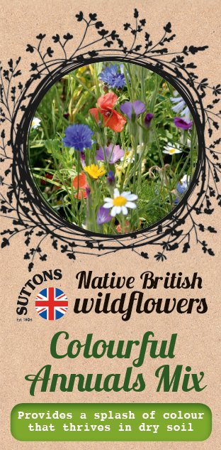 SUTTONS Suttons Wildflower Colourful Annuals Mix Seeds - Spring/Summer ...