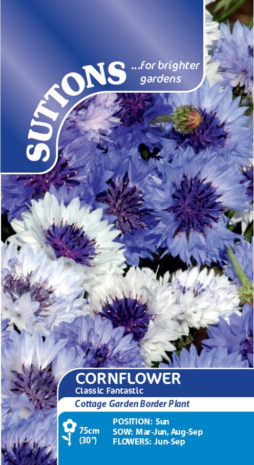 SUTTONS Suttons Cornflower Classic Fantastic Seeds - Spring/Summer ...